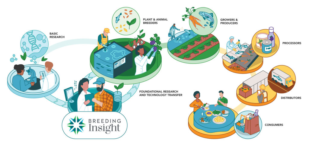 Breeding Insight – We make high-tech breeding a reality for specialty crop and animal breeders.