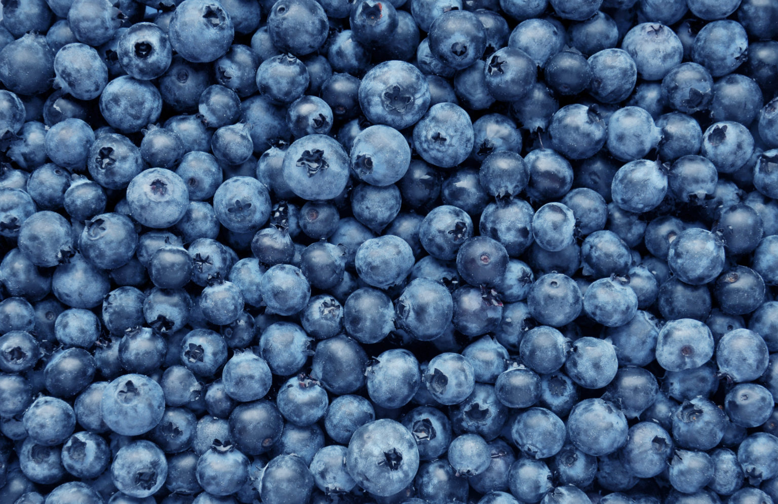 Open Source DArTag Blueberry Panel – Breeding Insight
