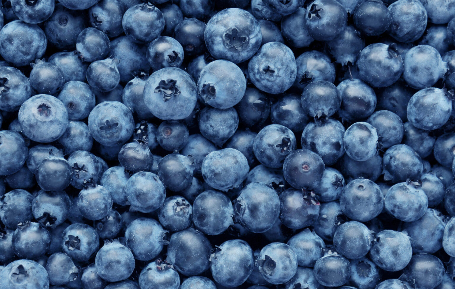 Open Source DArTag Blueberry Panel – Breeding Insight