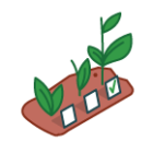 Breeding Insight – We make high-tech breeding a reality for specialty crop and animal breeders.