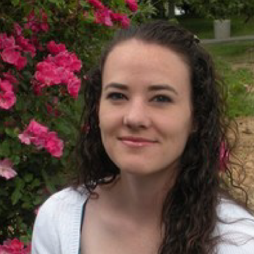 About BI – Breeding Insight