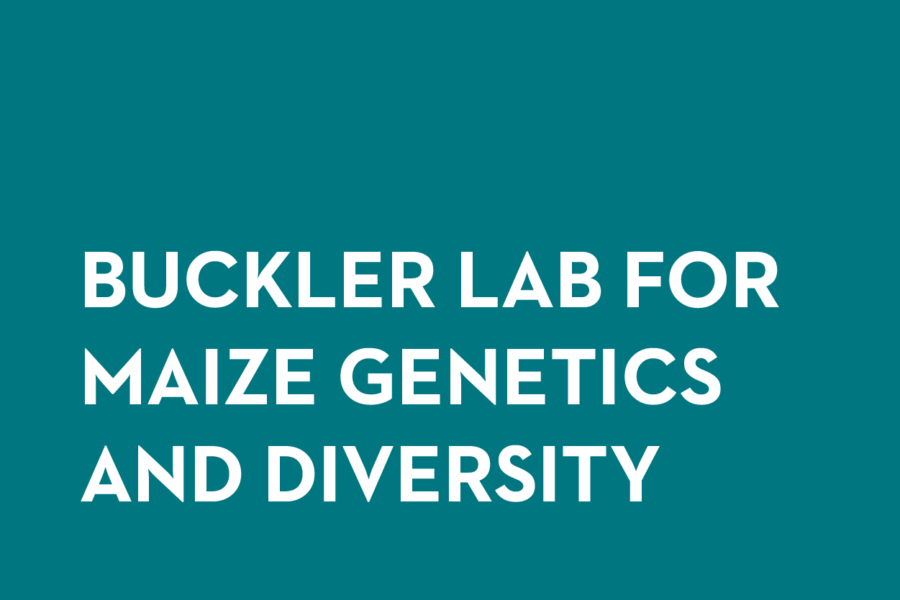 Self-directed Programs – Breeding Insight